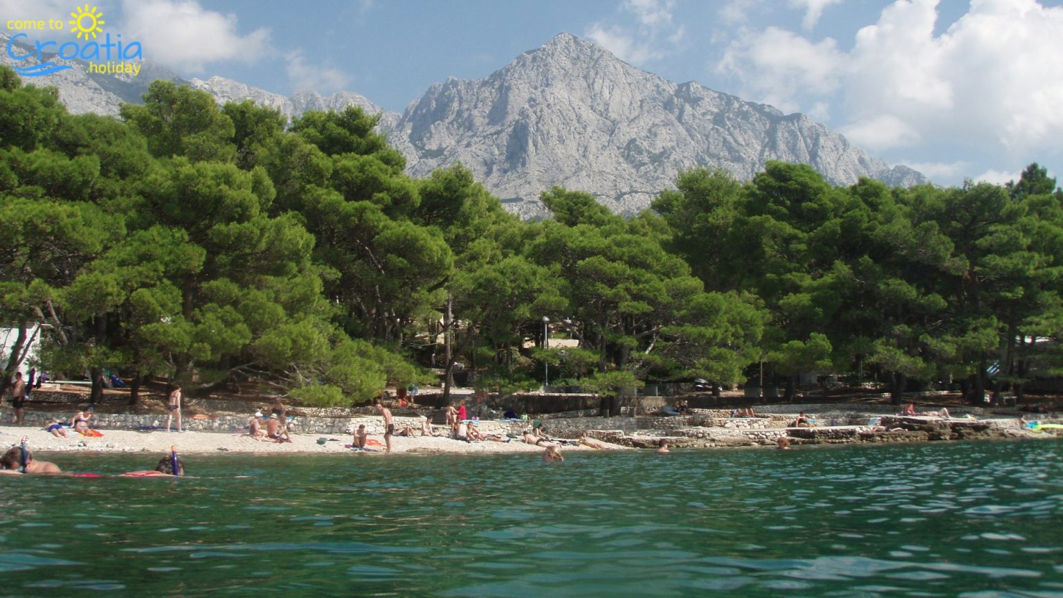 Basko Polje, camp in the shade of massive pine trees near Makarska