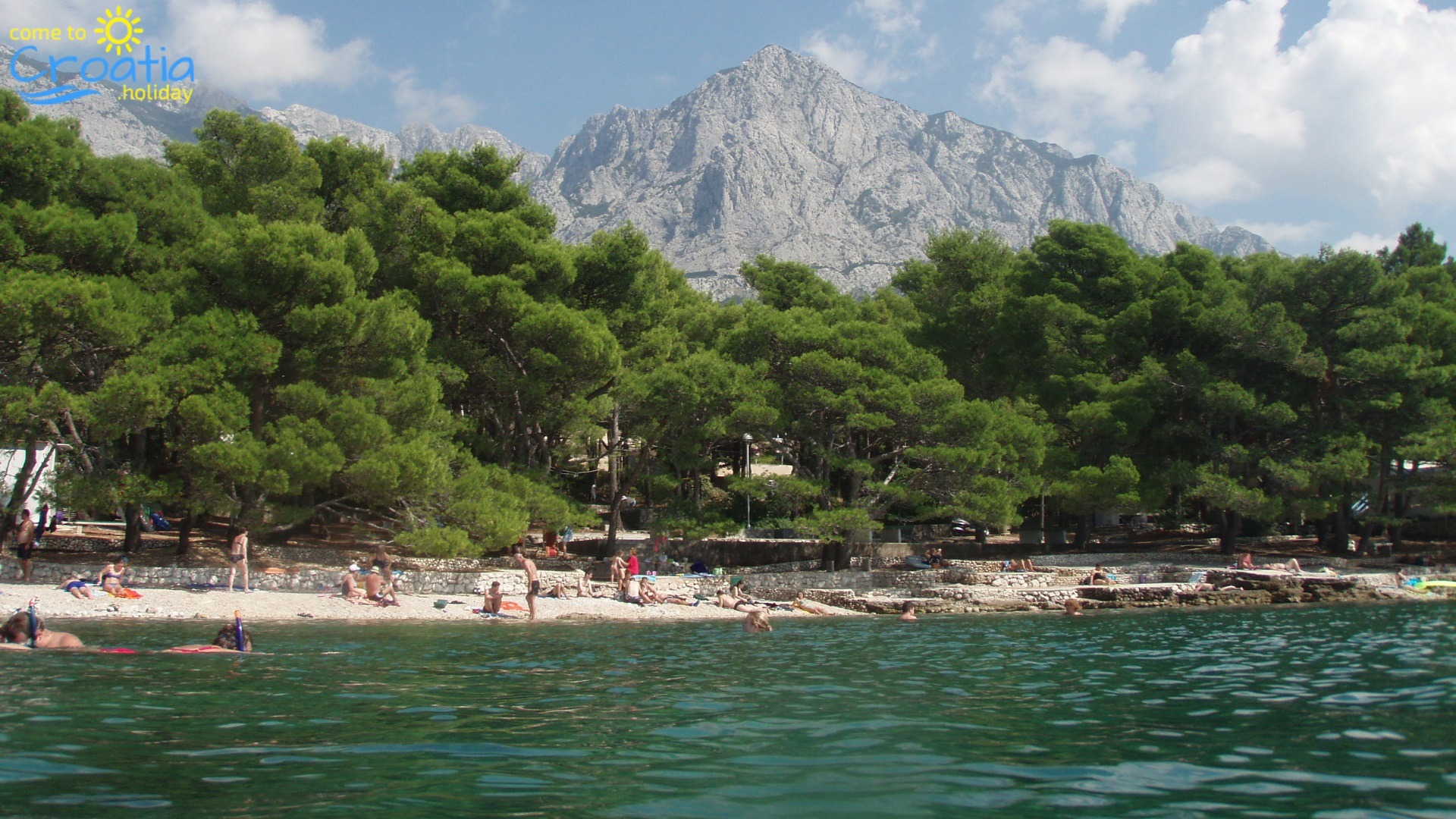 Basko Polje, camp in the shade of massive pine trees near Makarska