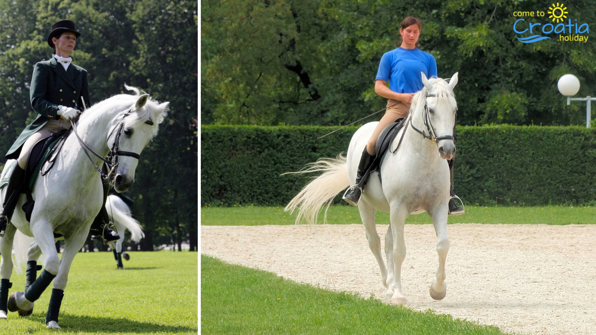 Explore the ancient architecture of Djakovo on the back of Lipizzaner