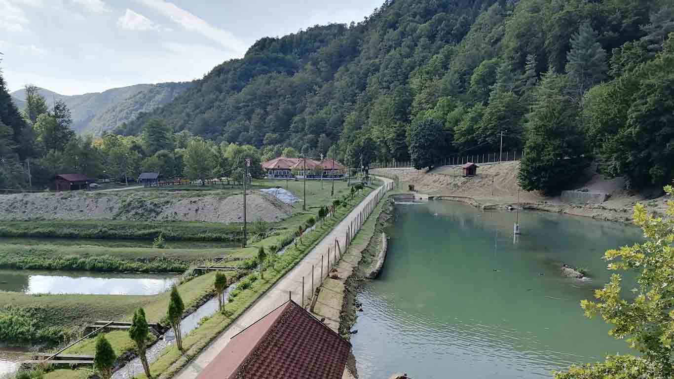 Divlje vode Bio Park: A place where you can walk and enjoy the best trout