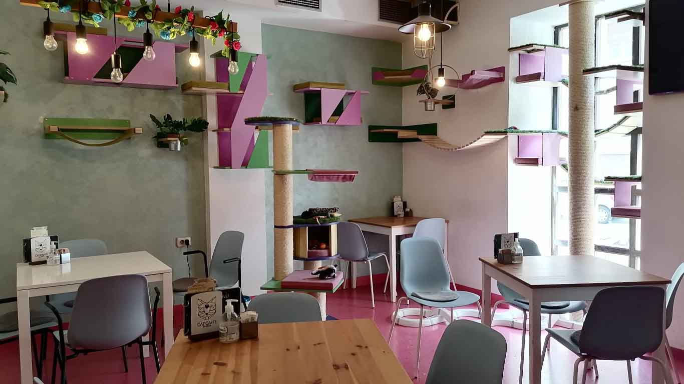 Cat Caffe Zagreb: Enjoy delicious drinks and wonderful company of cats