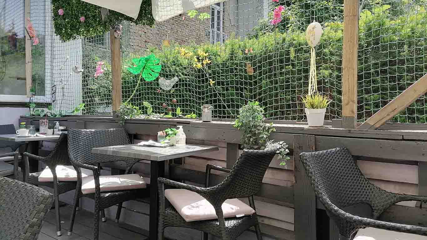 Cat Caffe Zagreb: Enjoy delicious drinks and wonderful company of cats