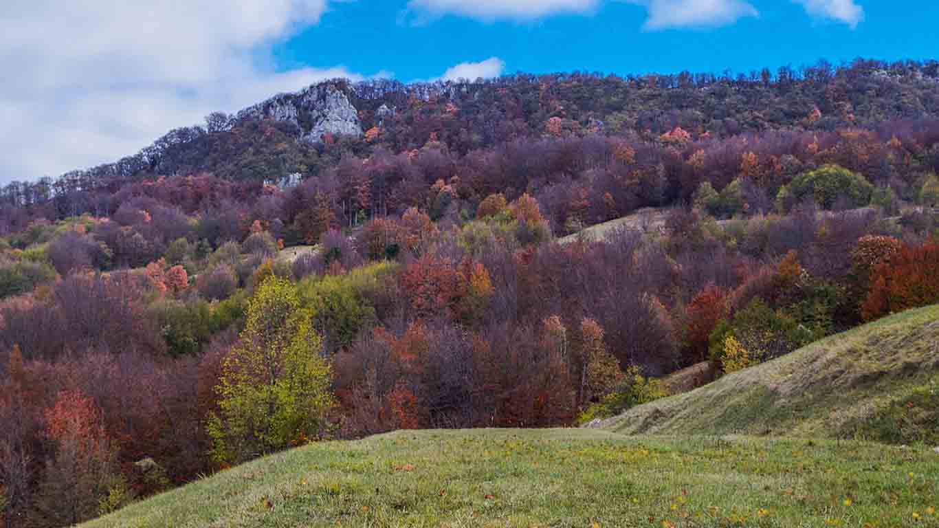 Učka Nature Park: A Haven of Breathtaking Landscapes and Rich Biodiversity