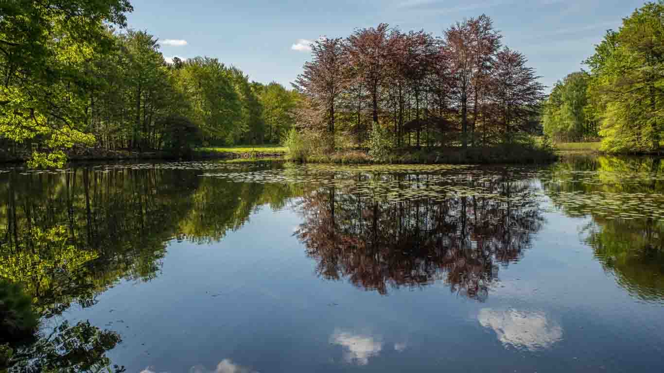 Lonjsko Polje: Croatia's Untamed Wetland Wonderland
