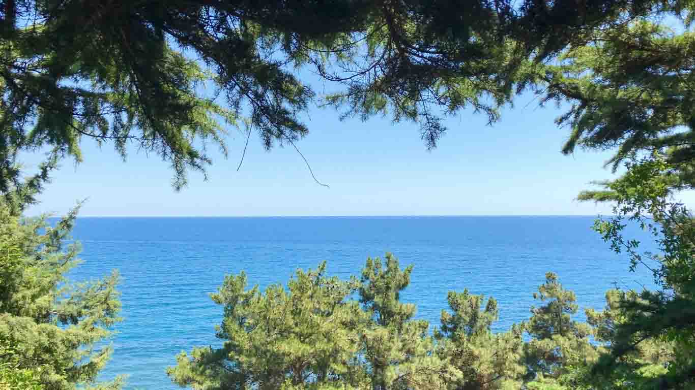 Sounds of the Island on Obonjan Island