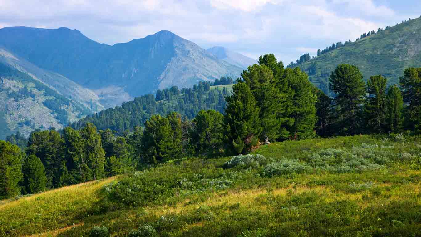 Učka Nature Park: A Haven of Breathtaking Landscapes and Rich Biodiversity