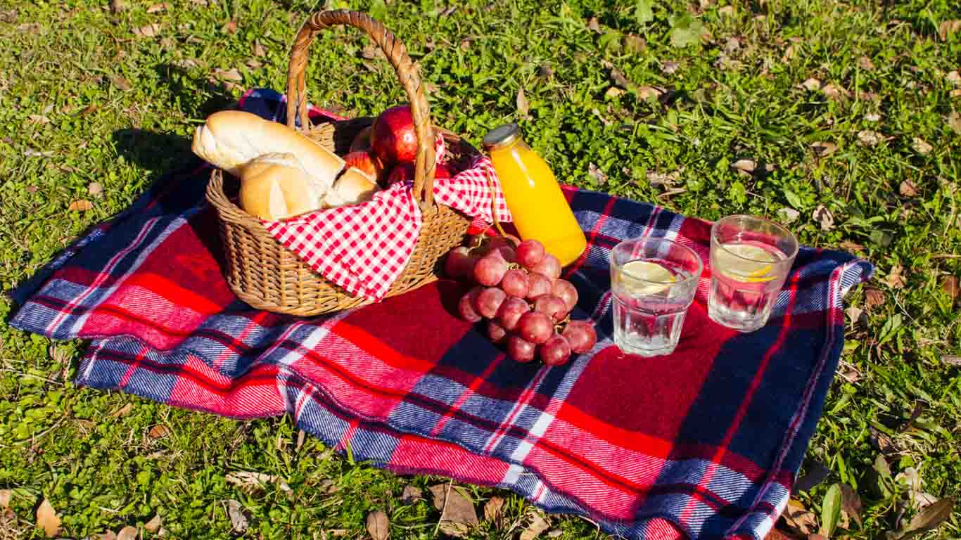 Maksimir Park: Unwind and Delight in a Memorable Summer Picnic