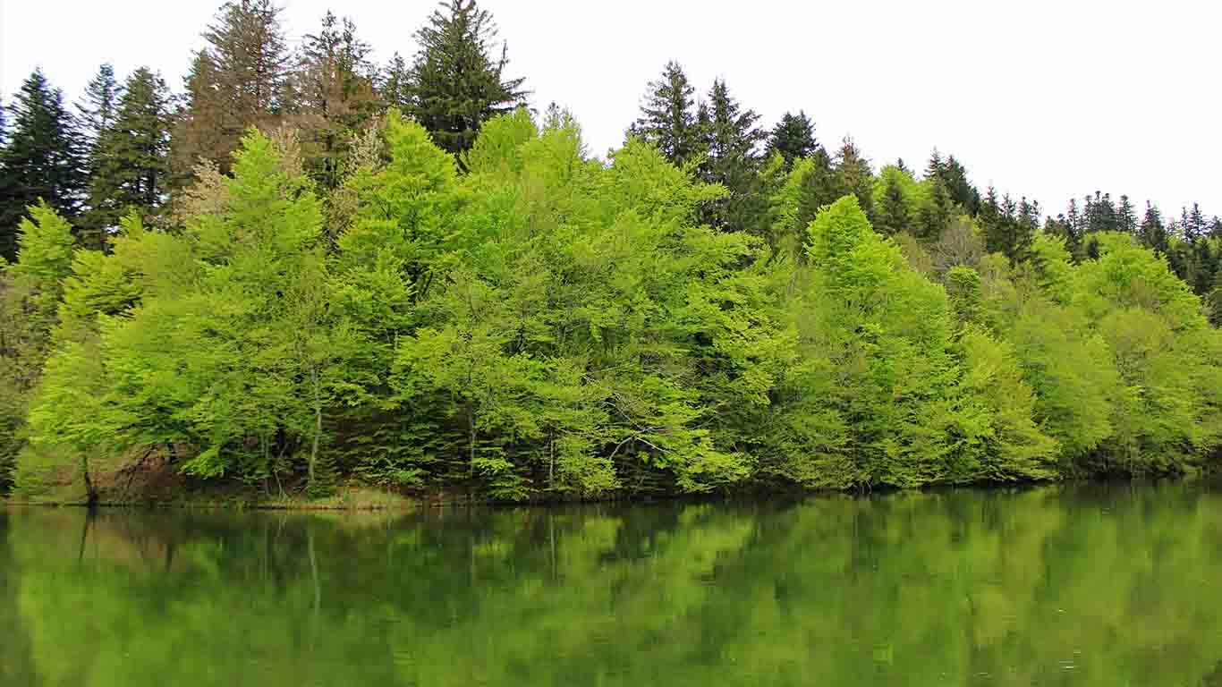 Mrzla Vodica: A Serene Retreat Amidst Croatia's Stunning Landscapes