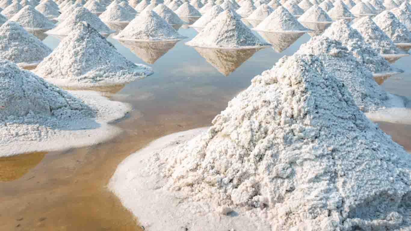 Ston: A Journey Through Time Along the Majestic City Walls