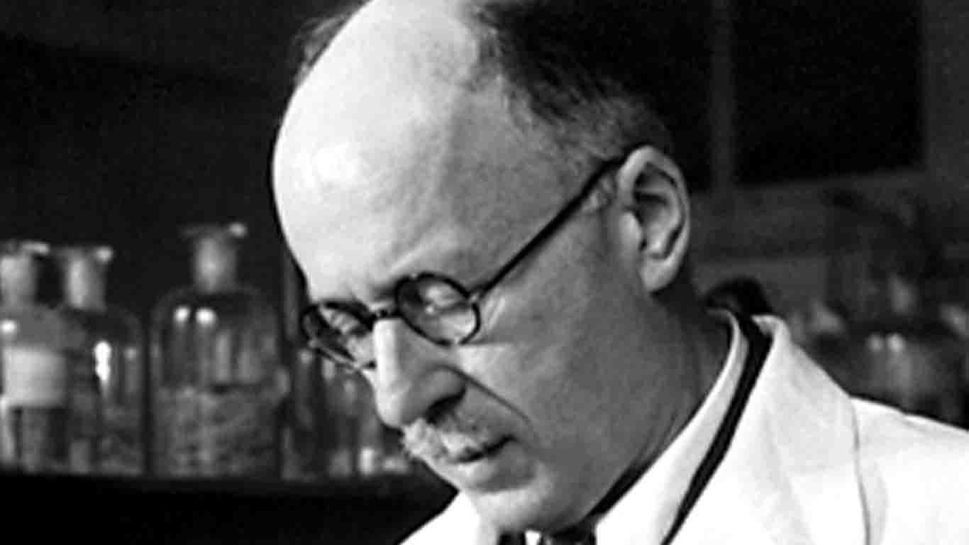 Croatian Icons Who Reshaped Global Historical Narratives