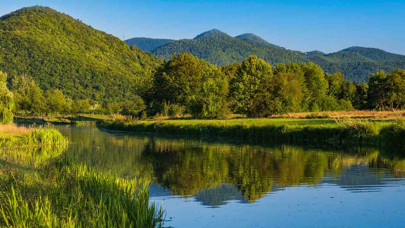 Kuterevo Bear Sanctuary